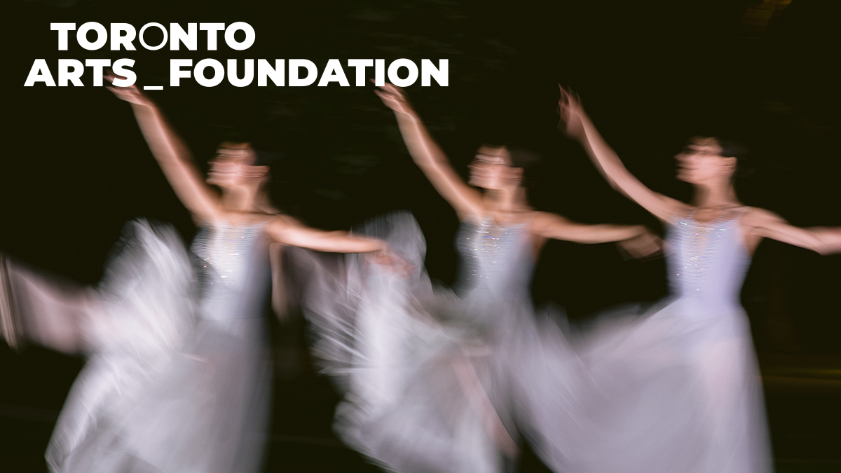 NEWCOMER PROGRAM | Toronto Arts Foundation